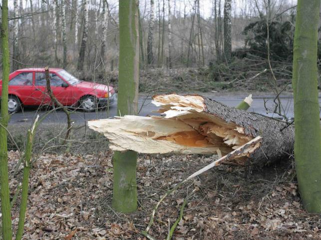 Wichury i orkany. Czy ta jesień i październik będą w nie obfitować ...